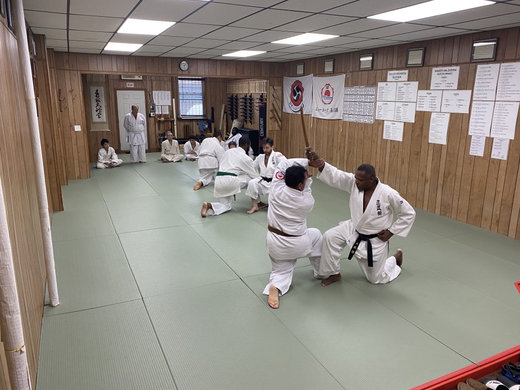 Jujutsu – Seibukan Dojo