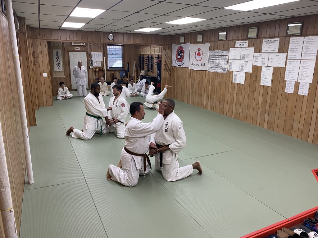 Jujutsu – Seibukan Dojo